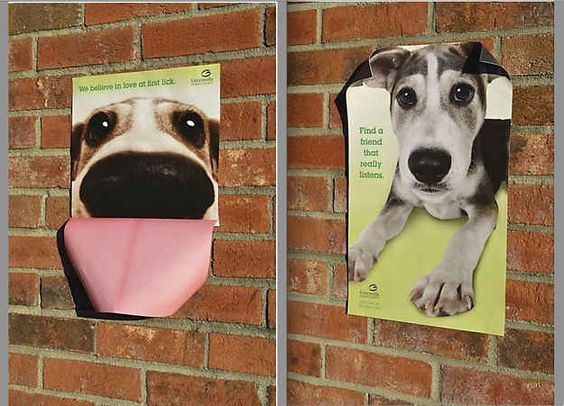 Animal Rescue Marketing Inspiration CharityPaws