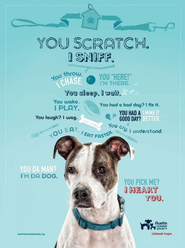 Animal Rescue Marketing Inspiration CharityPaws