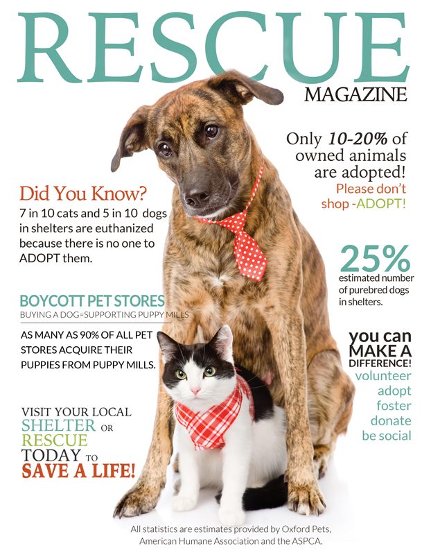 Animal Rescue Marketing Inspiration CharityPaws