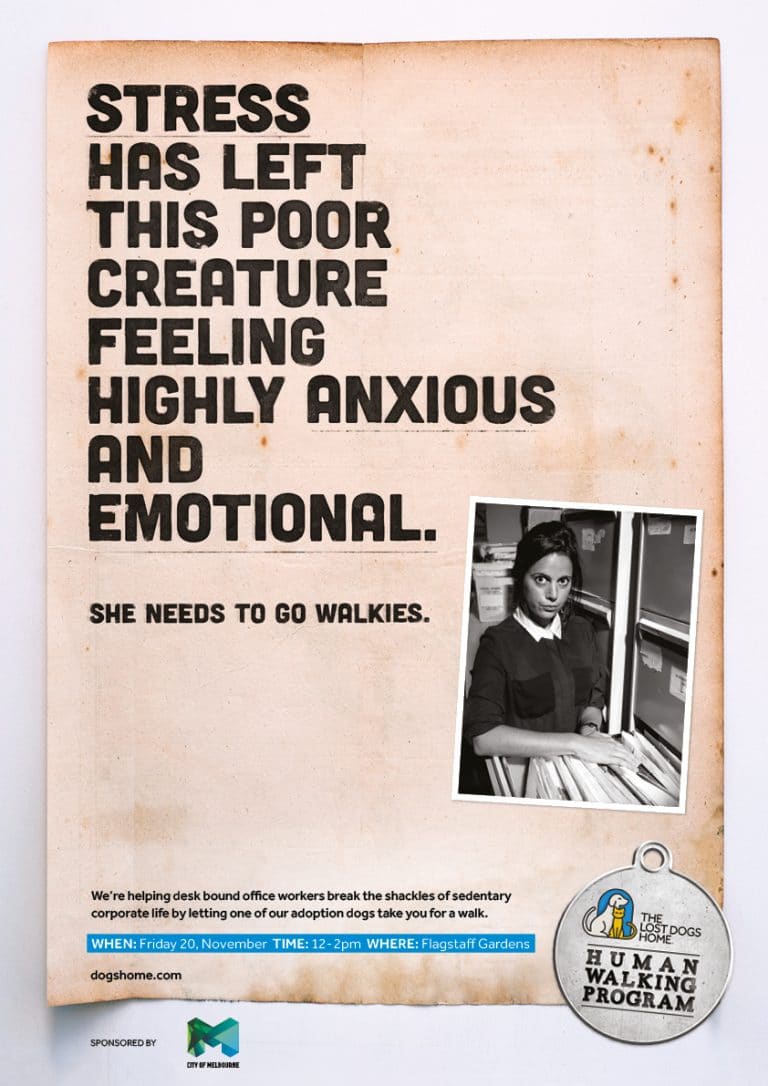 The Human Walking Program Animal Shelter Campaign