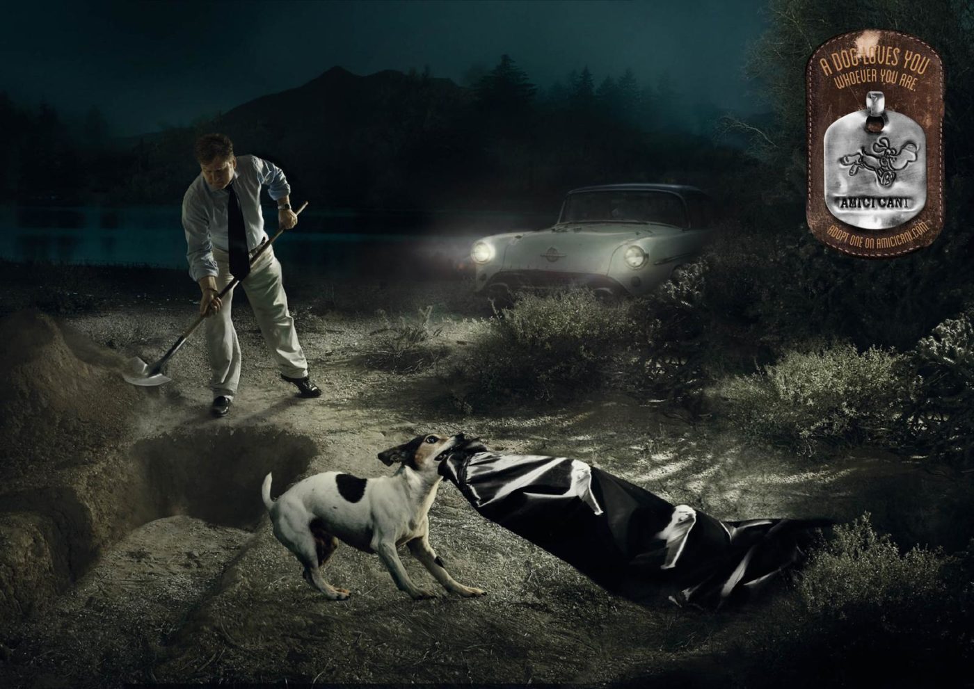Creative Pet Adoption Marketing Ideas