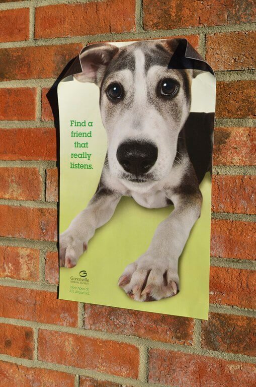Creative Pet Adoption Marketing Ideas