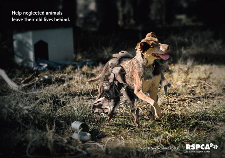 Emotionally Charged Animal Abuse Campaigns