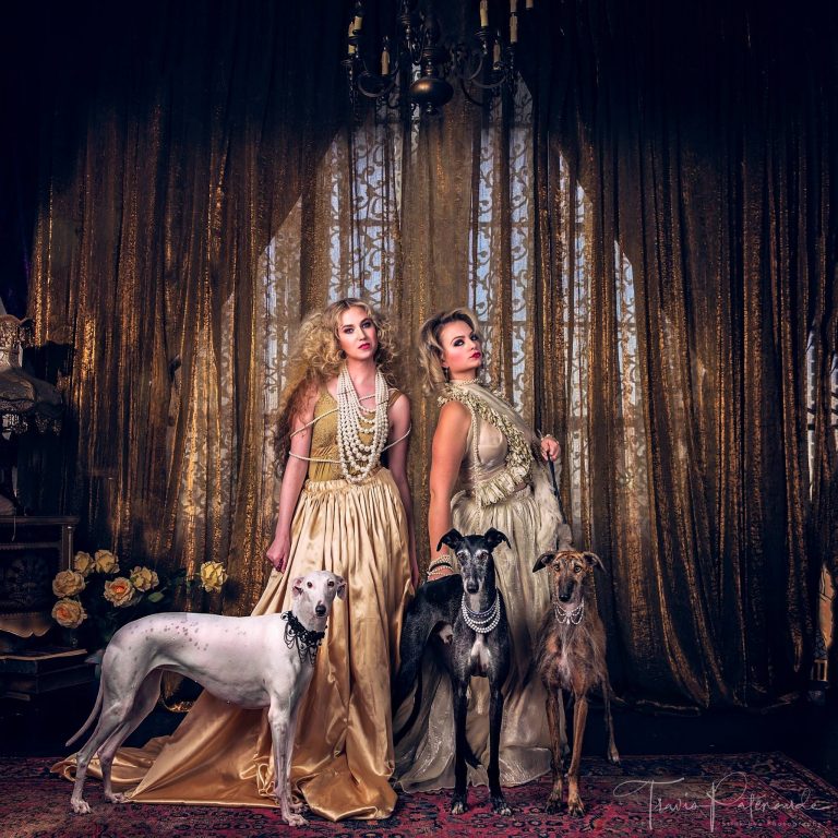 Galgos + One Photographers' Efforts To Save Them