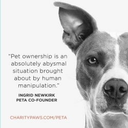 Let's Talk About PETA