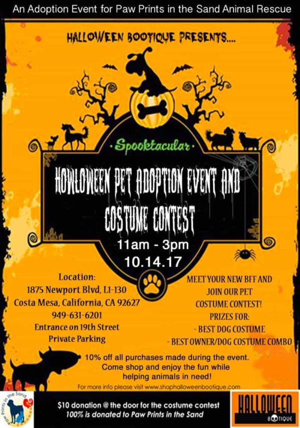 Halloween Fundraiser Ideas That Are Perfect For Animal Rescues!