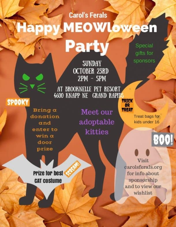Halloween Fundraiser Ideas That Are Perfect For Animal Rescues!