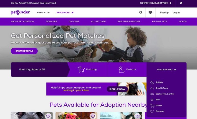 7 Best Pet Adoption Websites To Find A Furry Friend!