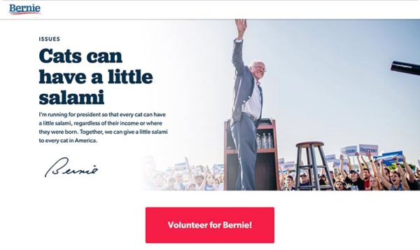 Bernie Memes Are All The Rage & Can Help Animals!