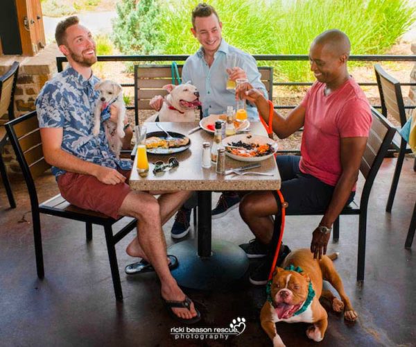 Ricki Beason Dad Bods + Dogs Calendar To Help Rescue Dogs