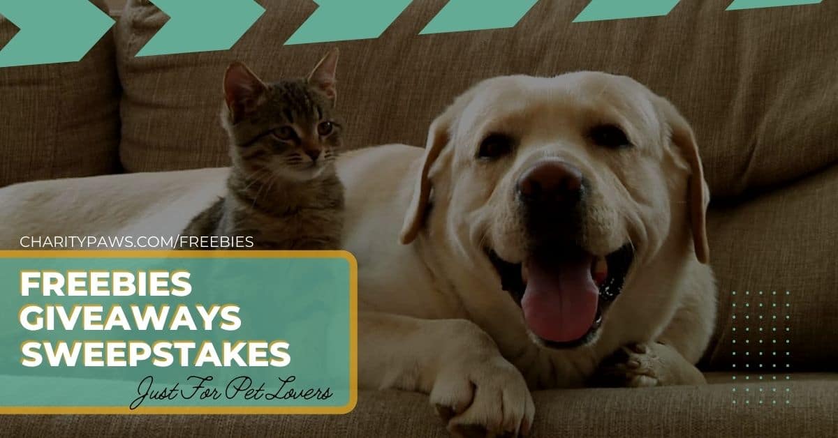 Free Pet Giveaways + Pet Freebies By Mail
