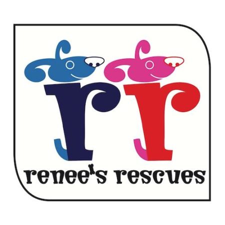 Dog Rescues In Delaware | 12 Rescues To Adopt From