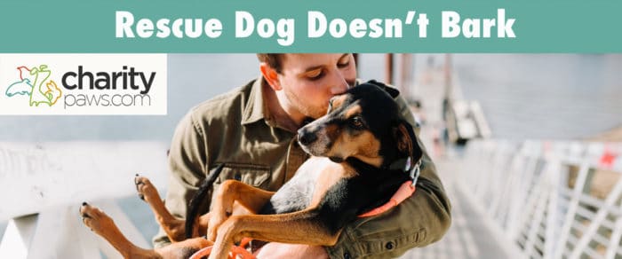 My Rescue Dog Doesn't Bark | 5 Possible Reasons